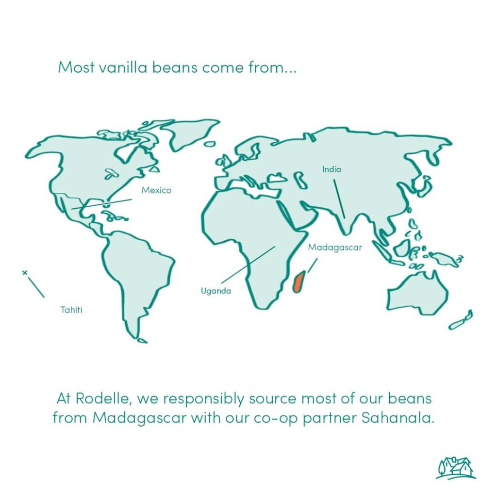 What is a Vanilla Bean? - Rodelle Kitchen