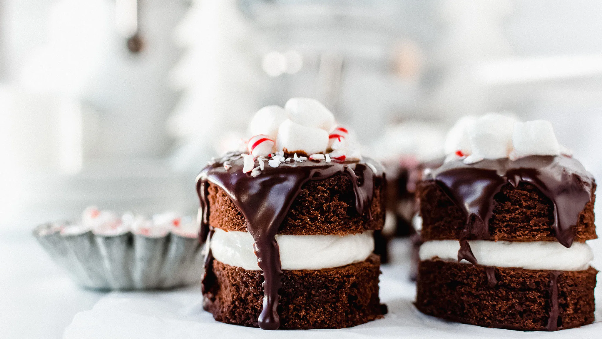 Mini Hot Cocoa Cakes - Rodelle Kitchen